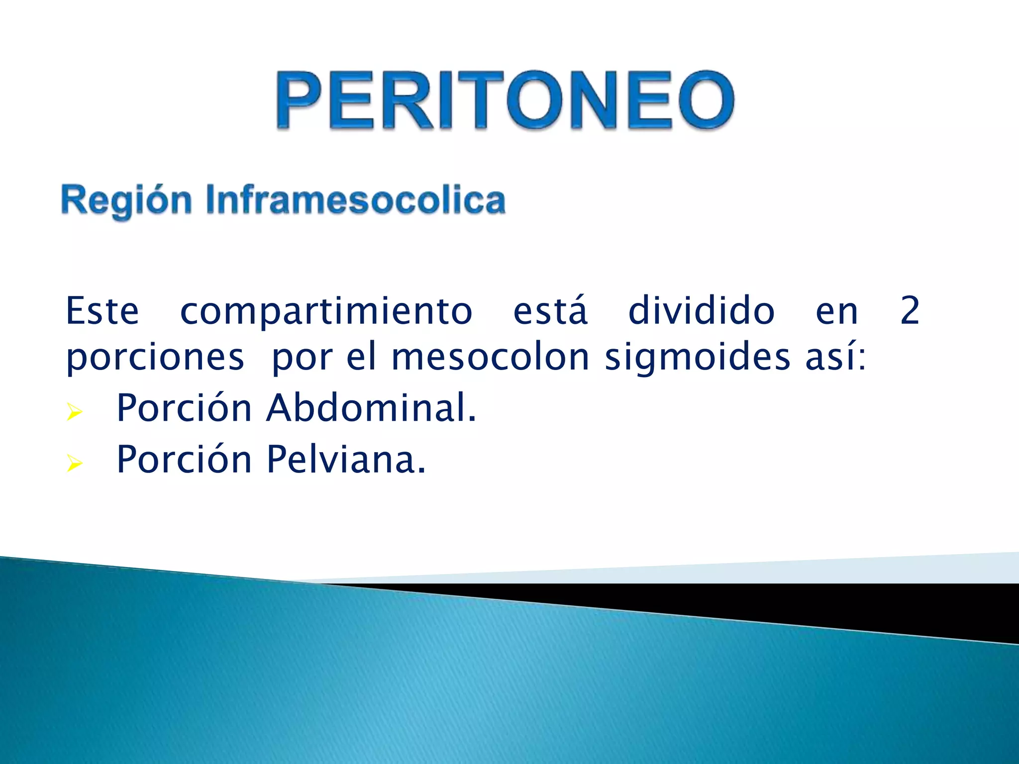Anatomía y Fisiología del Peritoneo y Retroperitoneo - 2017 | PPTX ...