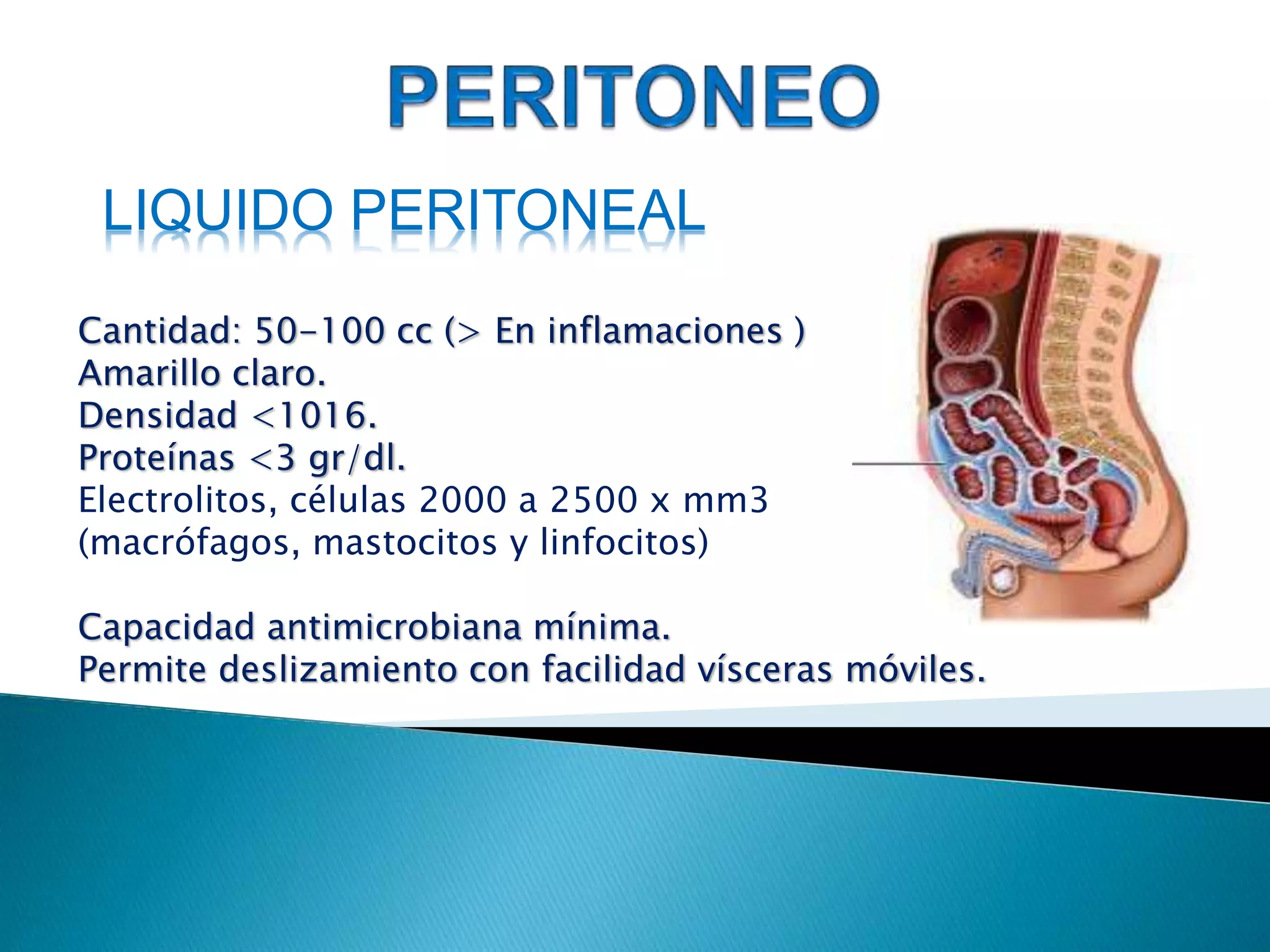 Anatomía y Fisiología del Peritoneo y Retroperitoneo - 2017 | PPTX ...