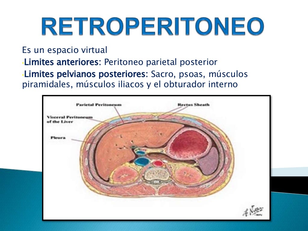 Anatomía y Fisiología del Peritoneo y Retroperitoneo - 2017