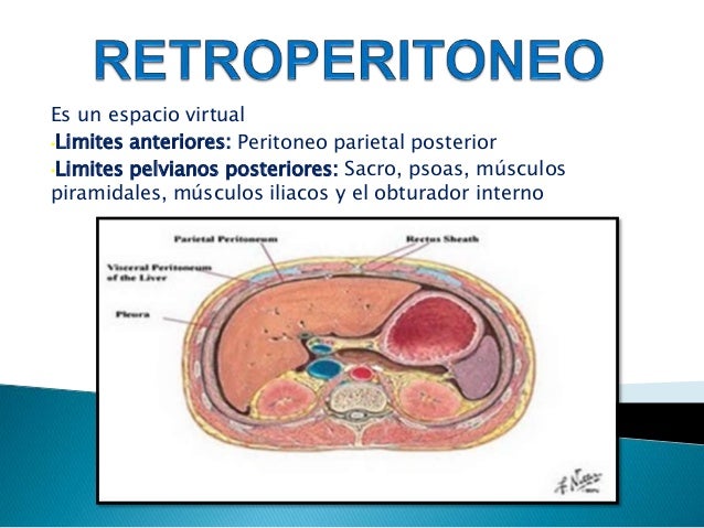 Anatomía y Fisiología del Peritoneo y Retroperitoneo - 2017