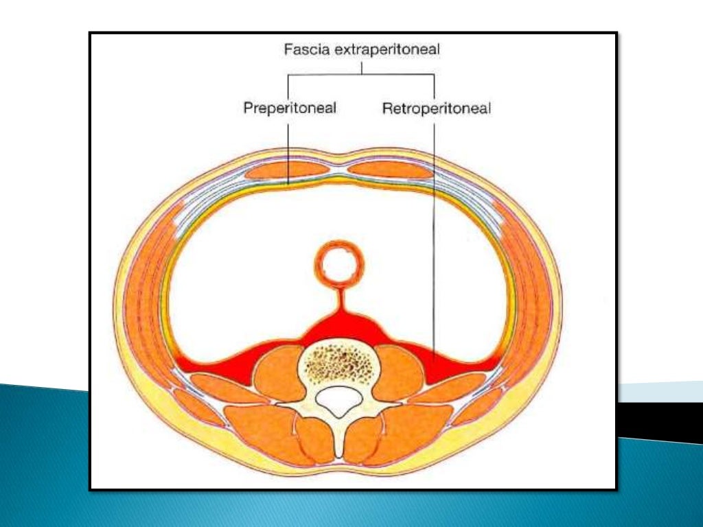 Anatomía y Fisiología del Peritoneo y Retroperitoneo - 2017