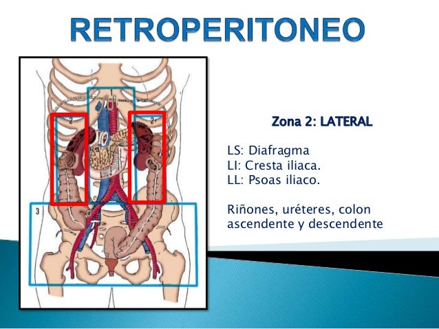Anatomía y Fisiología del Peritoneo y Retroperitoneo - 2017