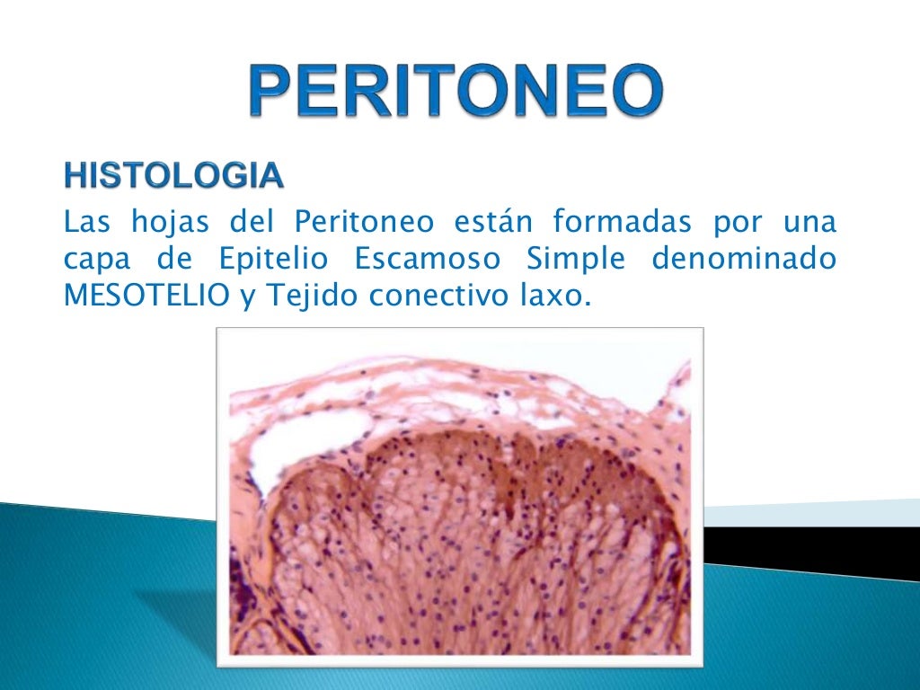 Anatomía y Fisiología del Peritoneo y Retroperitoneo - 2017