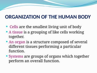 anatmical-terms detail presentation to know the terminology | PPT