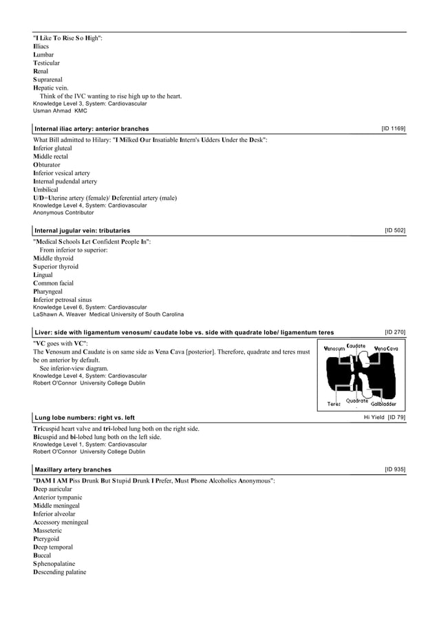 Anatomy mnemonics | PDF