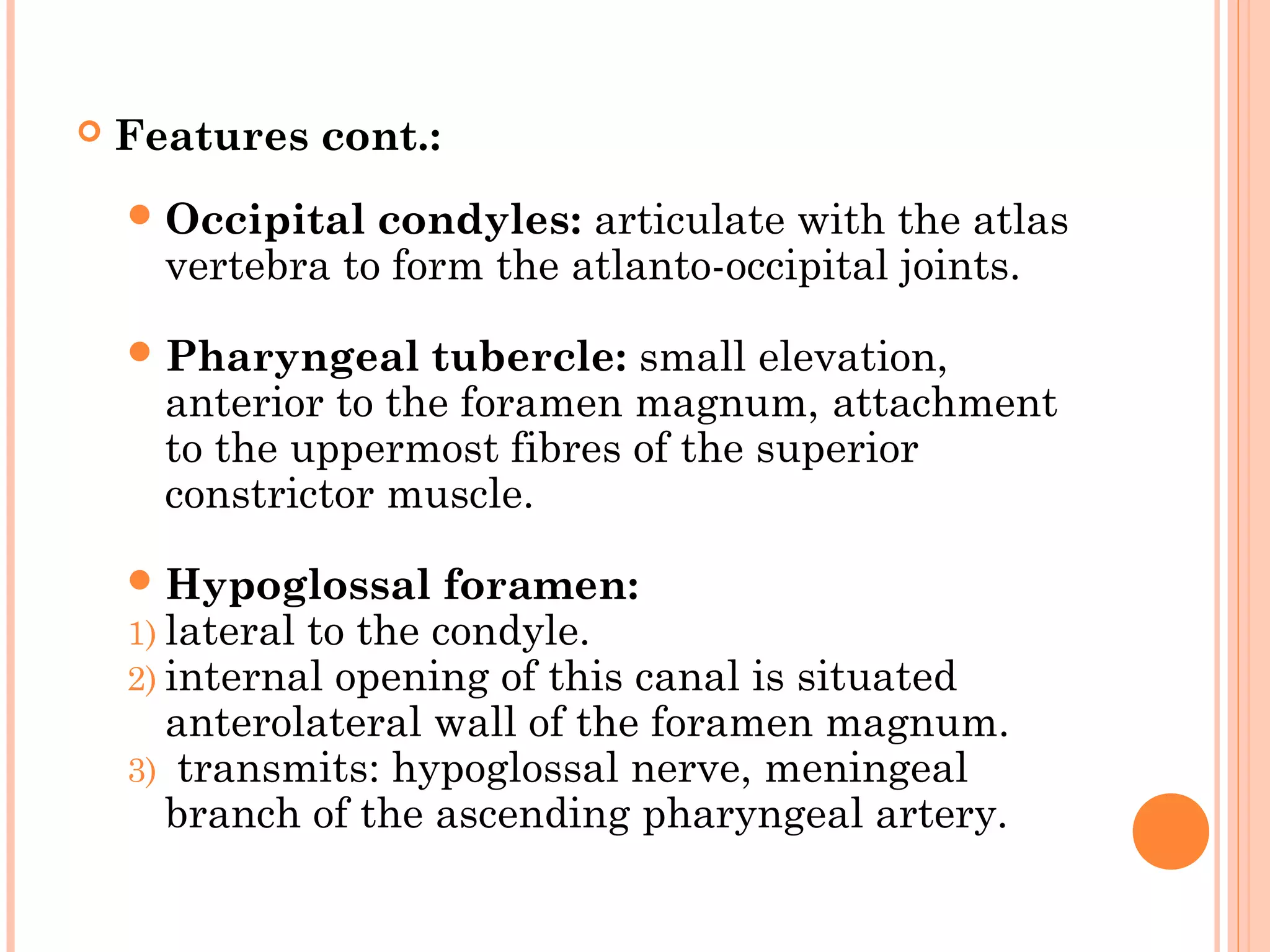 Anatomy(1) Osteology | PPT