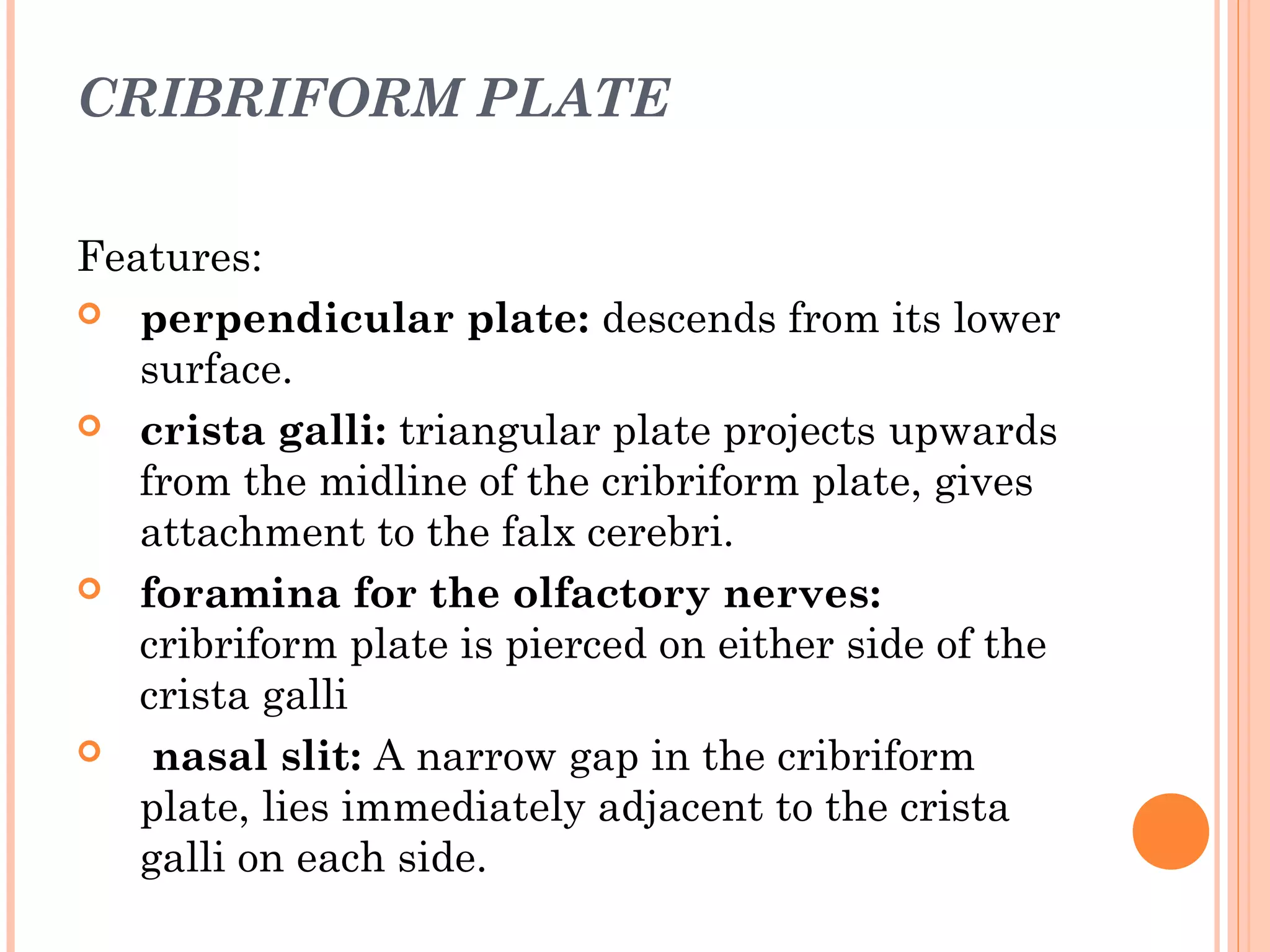 Anatomy(1) Osteology | PPT