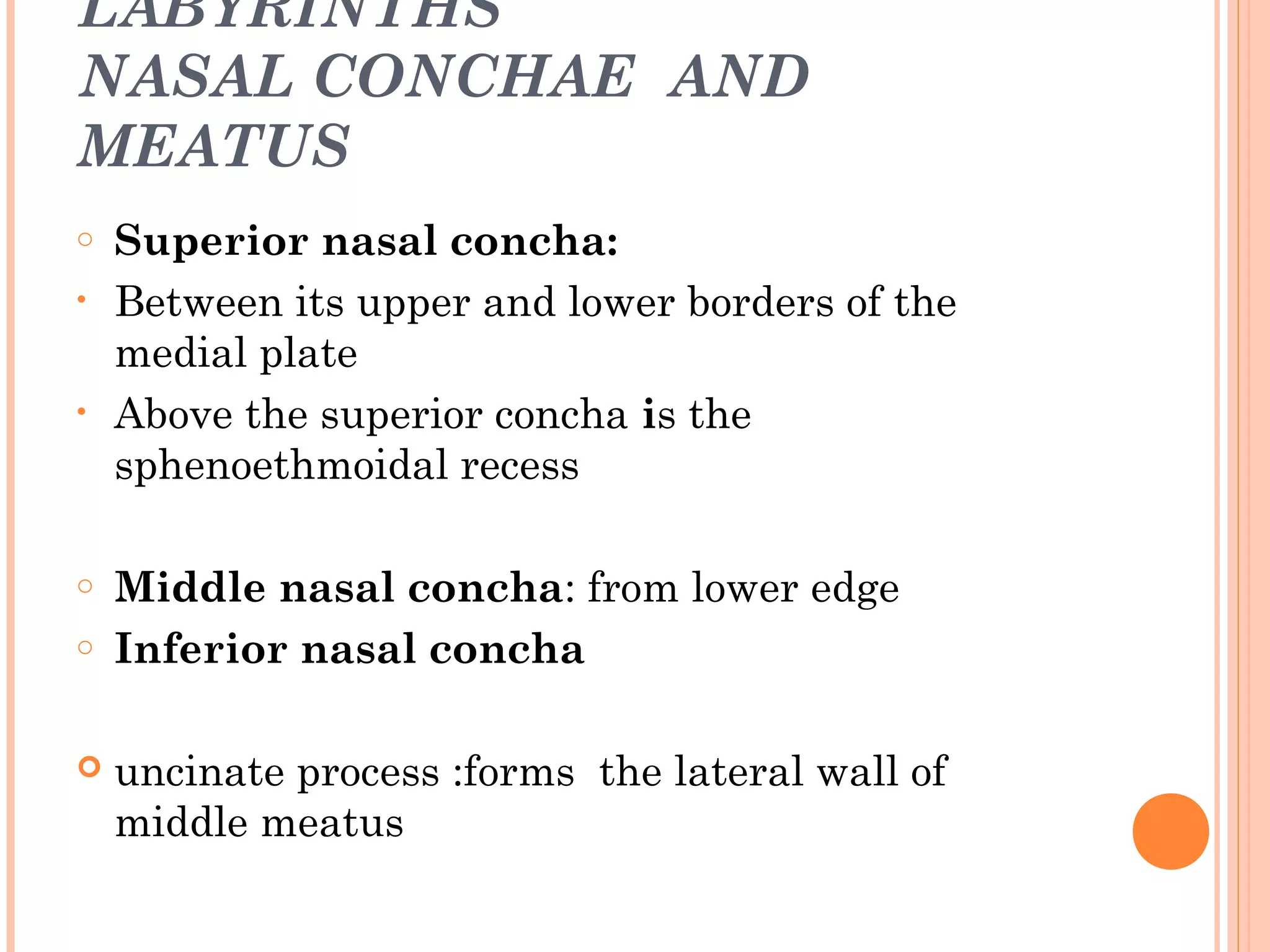 Anatomy(1) Osteology | PPT