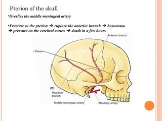 Anatomy(1) Osteology | PPT