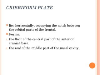 Anatomy(1) Osteology | PPT