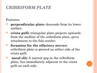 Anatomy(1) Osteology | PPT