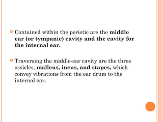 Anatomy(1) Osteology | PPT