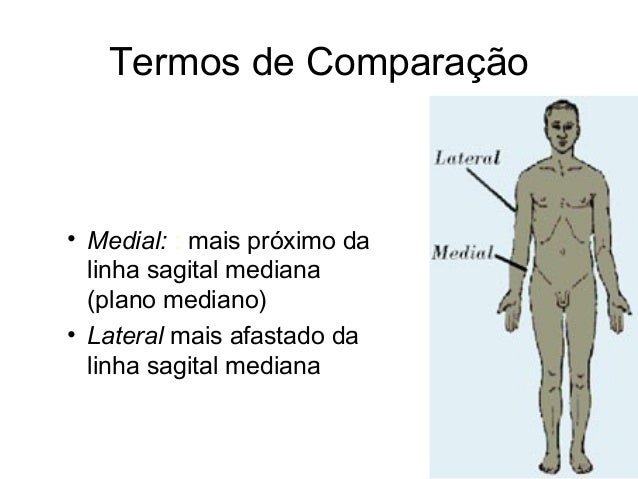 Anato conceitos