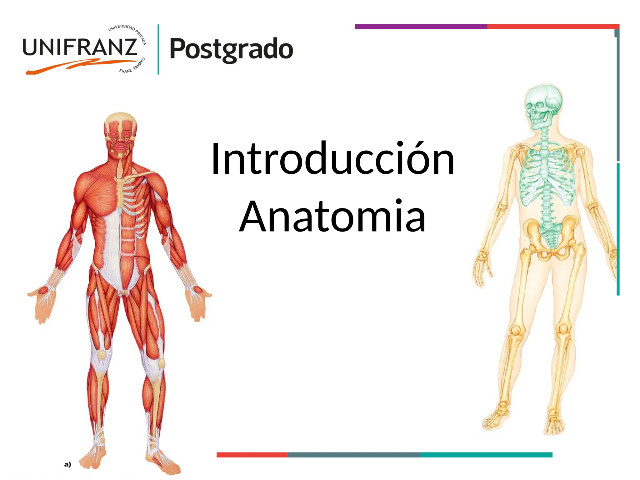 introduccion anatomia humana diplomado en anatomia | PPT