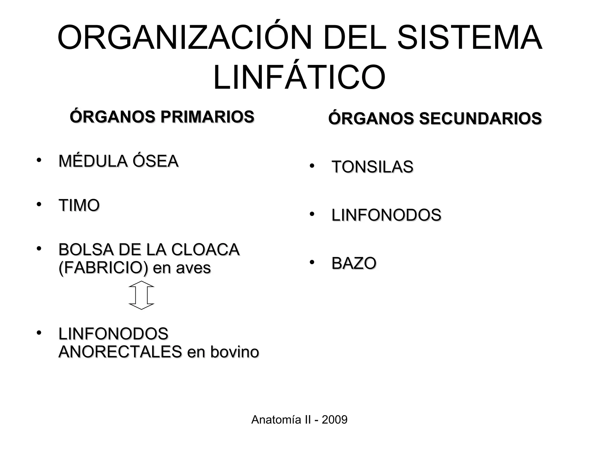 Anatomía del sistema linfatico y toracico | PDF