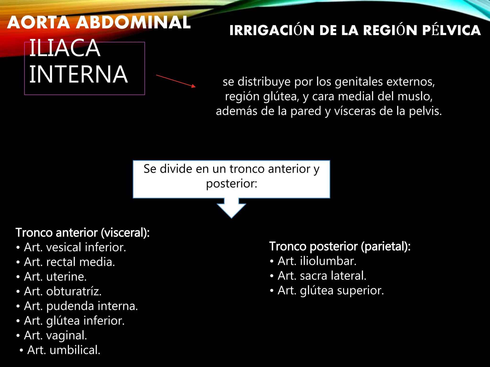 Aorta abdominal y sus ramas