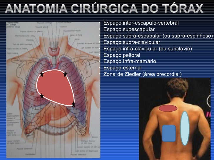Anato cirurg tórax parte I