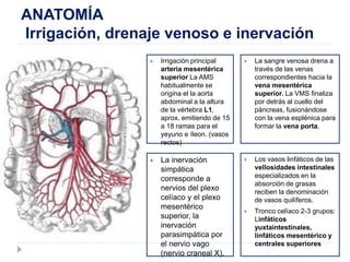 Anato de colon y recto.pdf