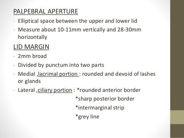 Medial And Lateral Apertures