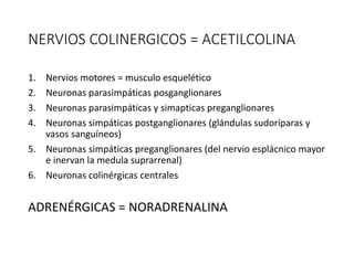 ANATOMIA Y FISIOLOGIA DEL SISTEMA NERVIOSO CENTRAL.pptx