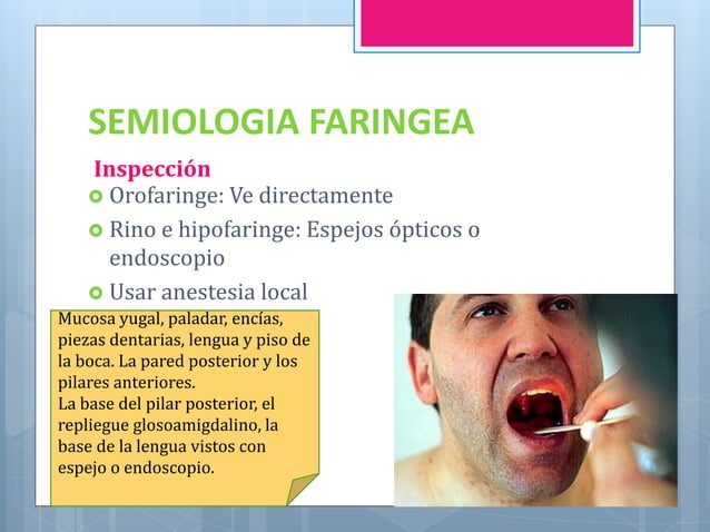 anatomia semiologia fisiologia de la faringe