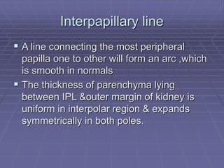 anat of urinary sys.ppt