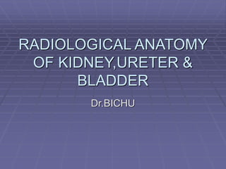 anat of urinary sys.ppt