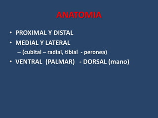 ANATO GENERALIDADES.pptx