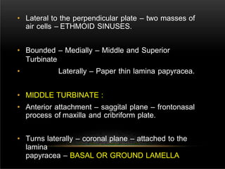 ANATOMICAL DETAILS OF THE ETHMOID BONE.pptx