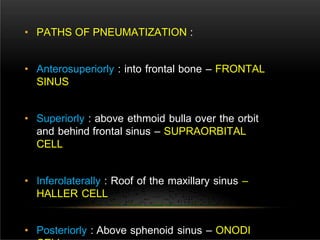 ANATOMICAL DETAILS OF THE ETHMOID BONE.pptx