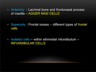 ANATOMICAL DETAILS OF THE ETHMOID BONE.pptx