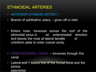 ANATOMICAL DETAILS OF THE ETHMOID BONE.pptx