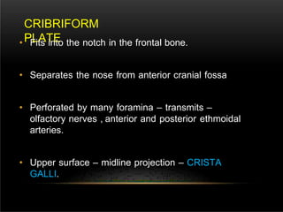 ANATOMICAL DETAILS OF THE ETHMOID BONE.pptx