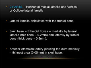 ANATOMICAL DETAILS OF THE ETHMOID BONE.pptx