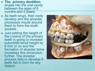 Anatom. and phys. features of the childs body (1).pdf