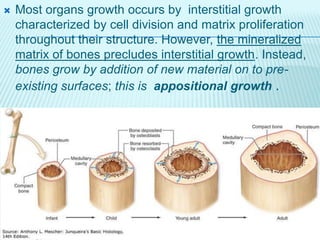 Anatom. and phys. features of the childs body (1).pdf