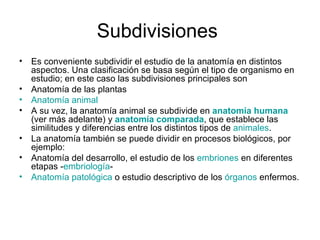 ANATOMÍA | PPT