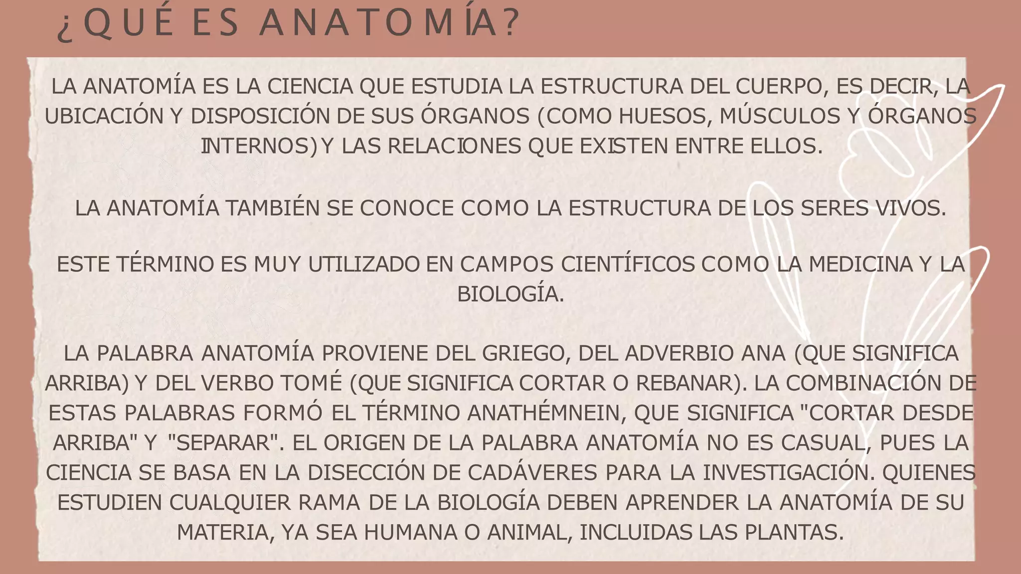 Anatomía humana | PPTX | Brain and Nervous System Disorders | Diseases ...