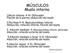 Resumen Anatomía del miembro inferior | PDF