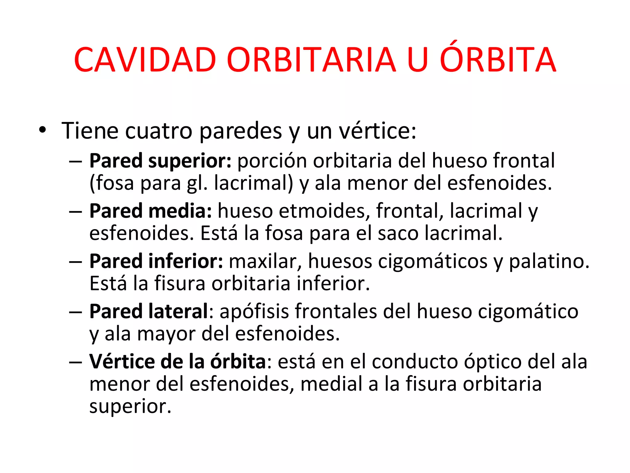AnatomíA Del Ojo Y Anexos | PPT