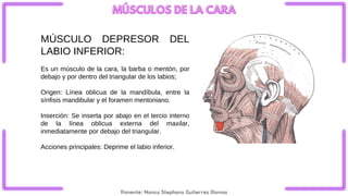 ANATOMÍA - MÚSCULOS DE LA CARA definiciones .pdf
