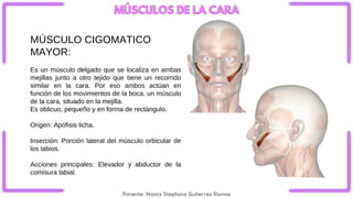 ANATOMÍA - MÚSCULOS DE LA CARA definiciones .pdf