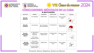 ANATOMÍA - MÚSCULOS DE LA CARA definiciones .pdf