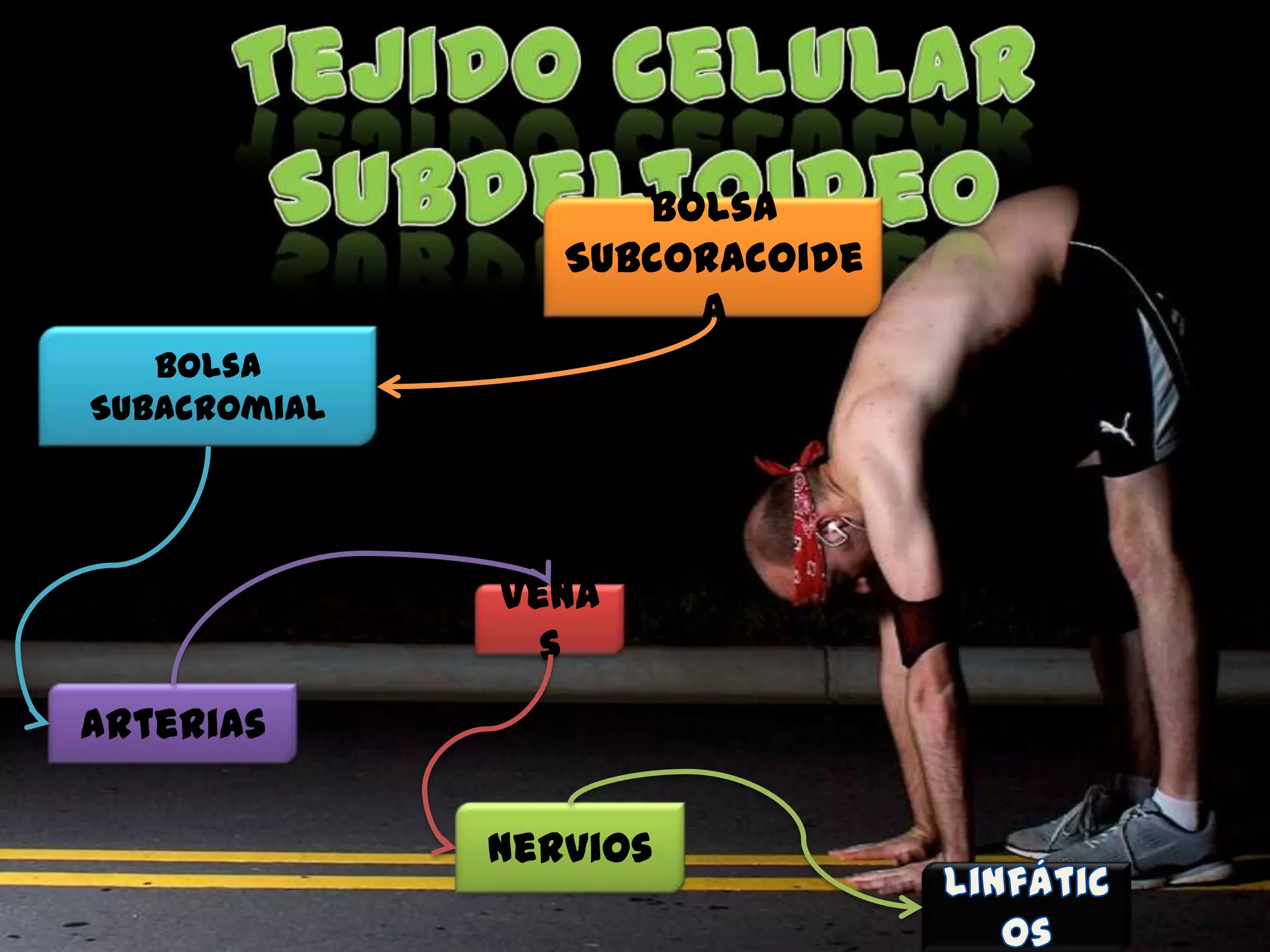 Anatomía Región deltoidea | PPTX