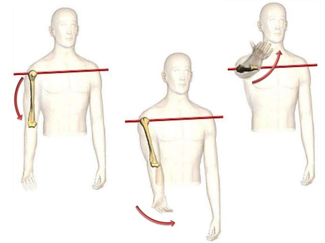 Anatomía Región deltoidea | PPTX
