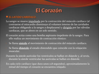 Anatomía y fisiología del aparato circulatorio | PPT