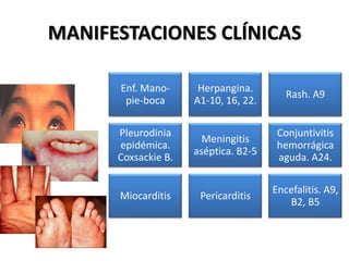 Anatomía amigdala y faringoamigdalitis | PPTX