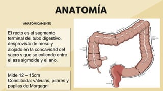 ANATOMÍA DE RECTO , ANO , ESTRUCTURACIÓN, CIRCULACIÓN Y REFERENCIAS ...