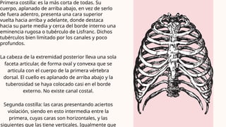 Anatomía Cabeza y Cuello por y para odonto estudents | PPTX