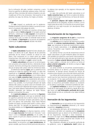 Anatomía Humana Clínica de Moore y cola. | PDF